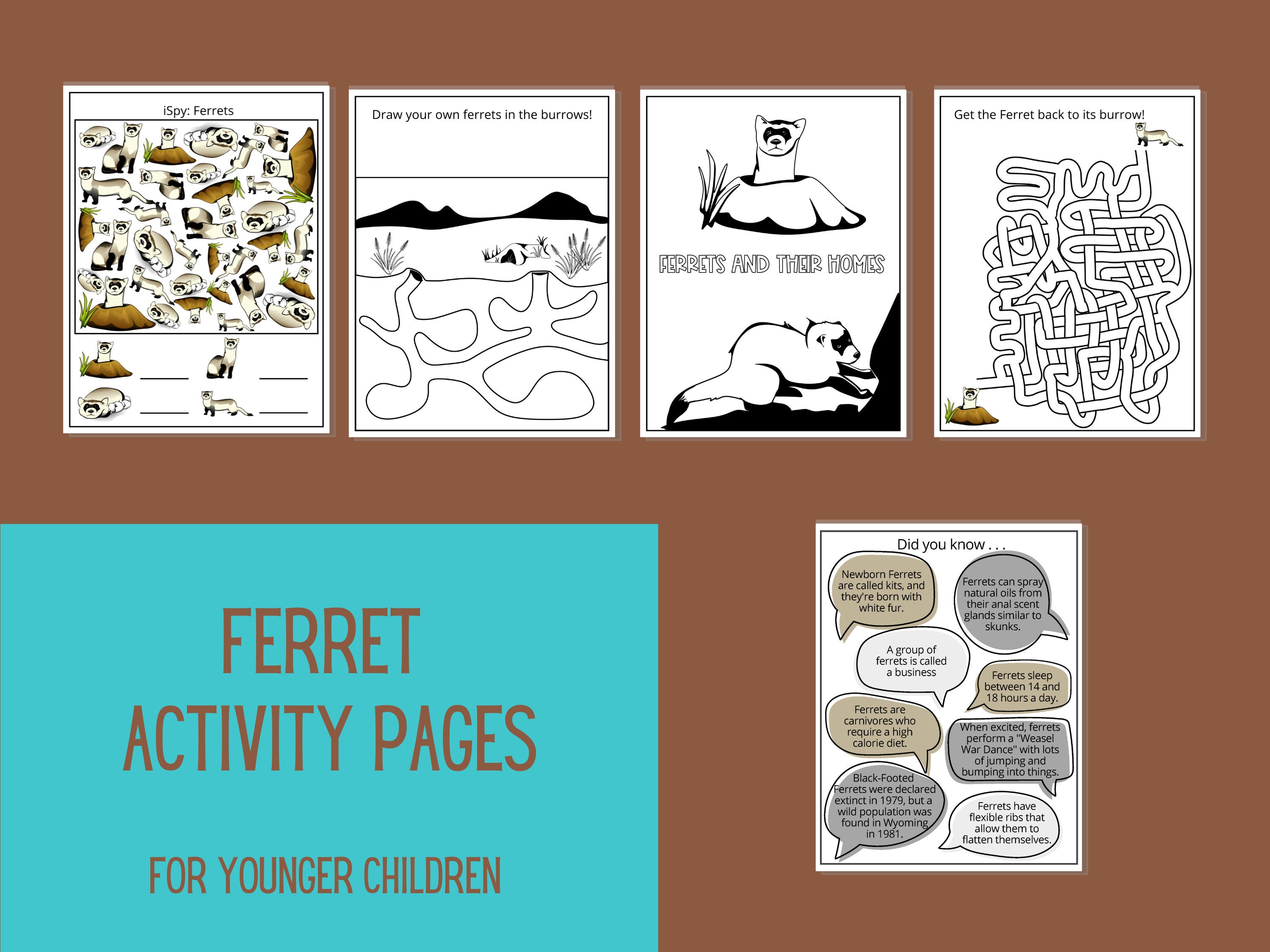 Ferret Activity Sheets Printable | Fun Kids Activity Kit | Ferret ...