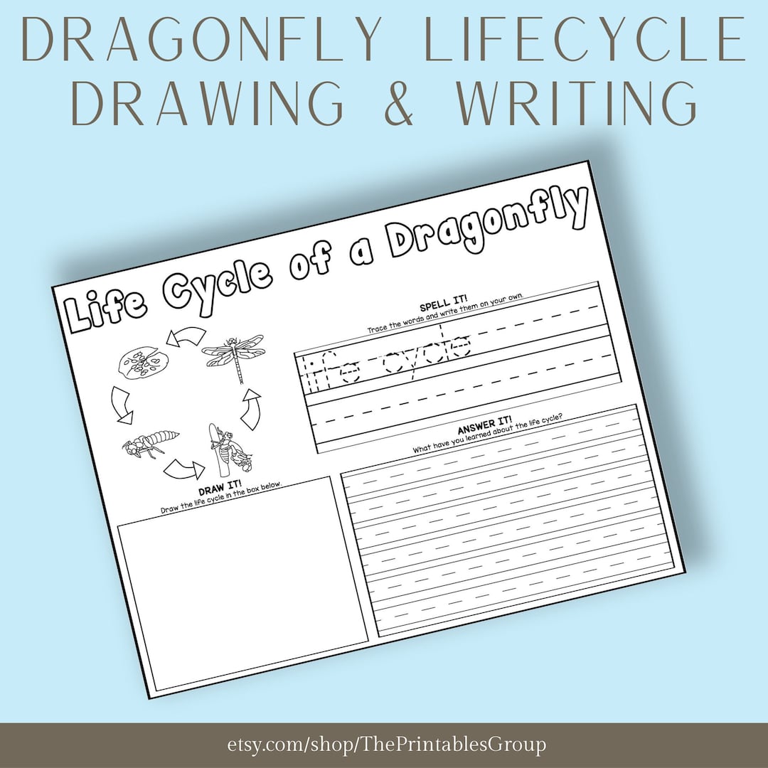Dragonfly Lifecycle Drawing & Writing Printable | Educational Dragonfly ...