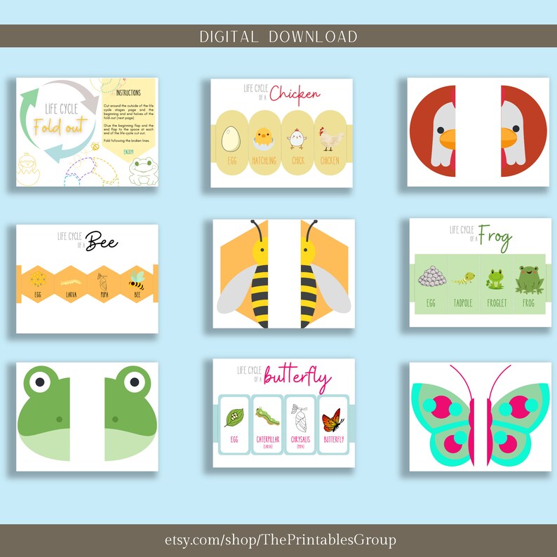 Life Cycle Fold Out Printable | Chicken, Bee, Frog and Butterfly Unit ...