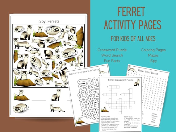 Ferret Activity Sheets Printable Fun Kids Activity Kit - Etsy