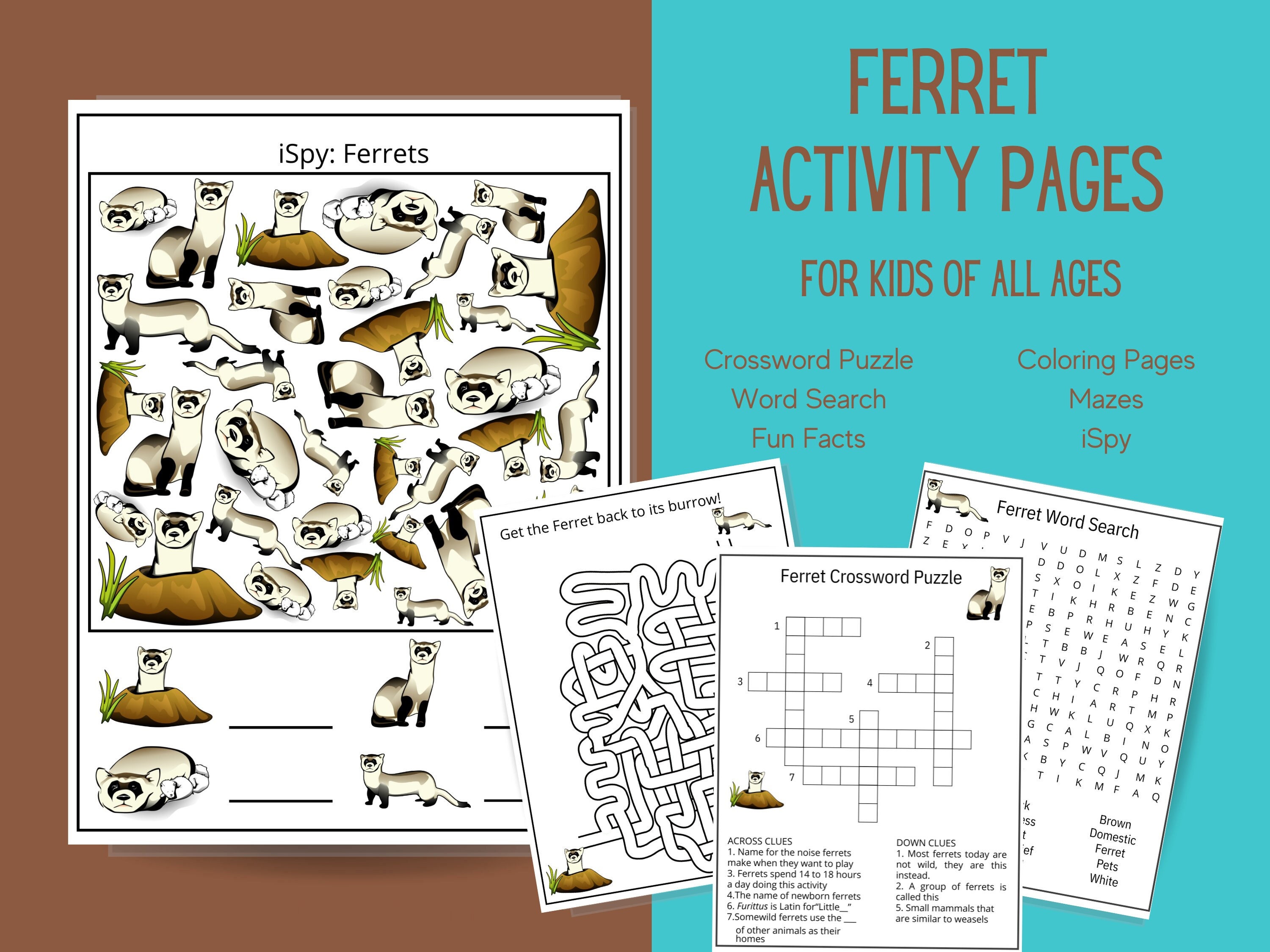 Ferret Activity Sheets Printable | Fun Kids Activity Kit | Ferret ...