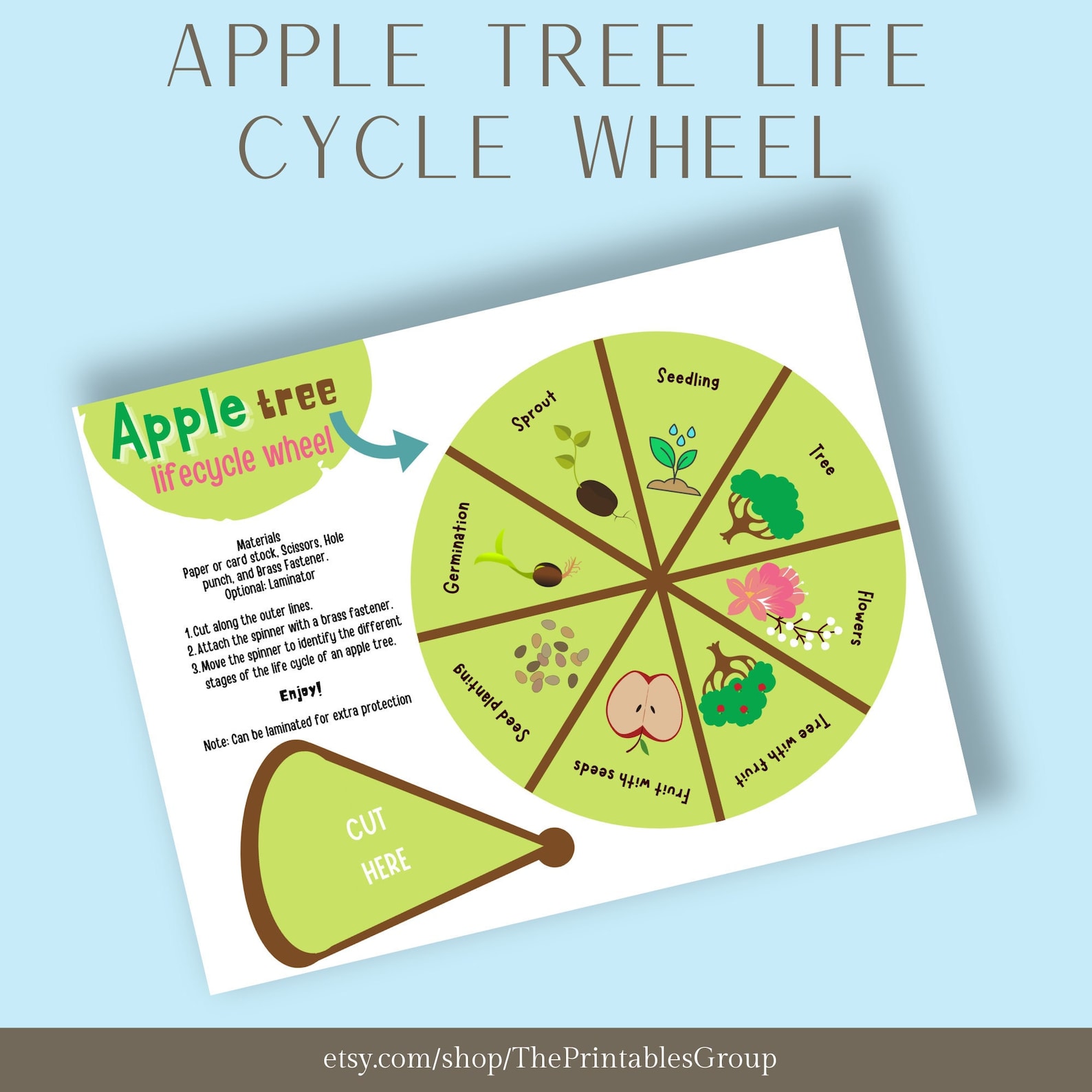 Apple Tree Life Cycle Wheel | Life Cycle of an Apple Nature Study ...