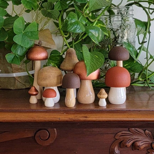 Mushroom Shelf Etsy