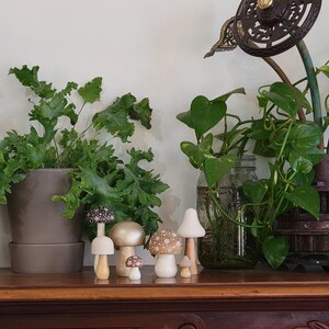 Natural Neutral Holiday Snowflake Set Hand Painted Wooden Mushrooms ...