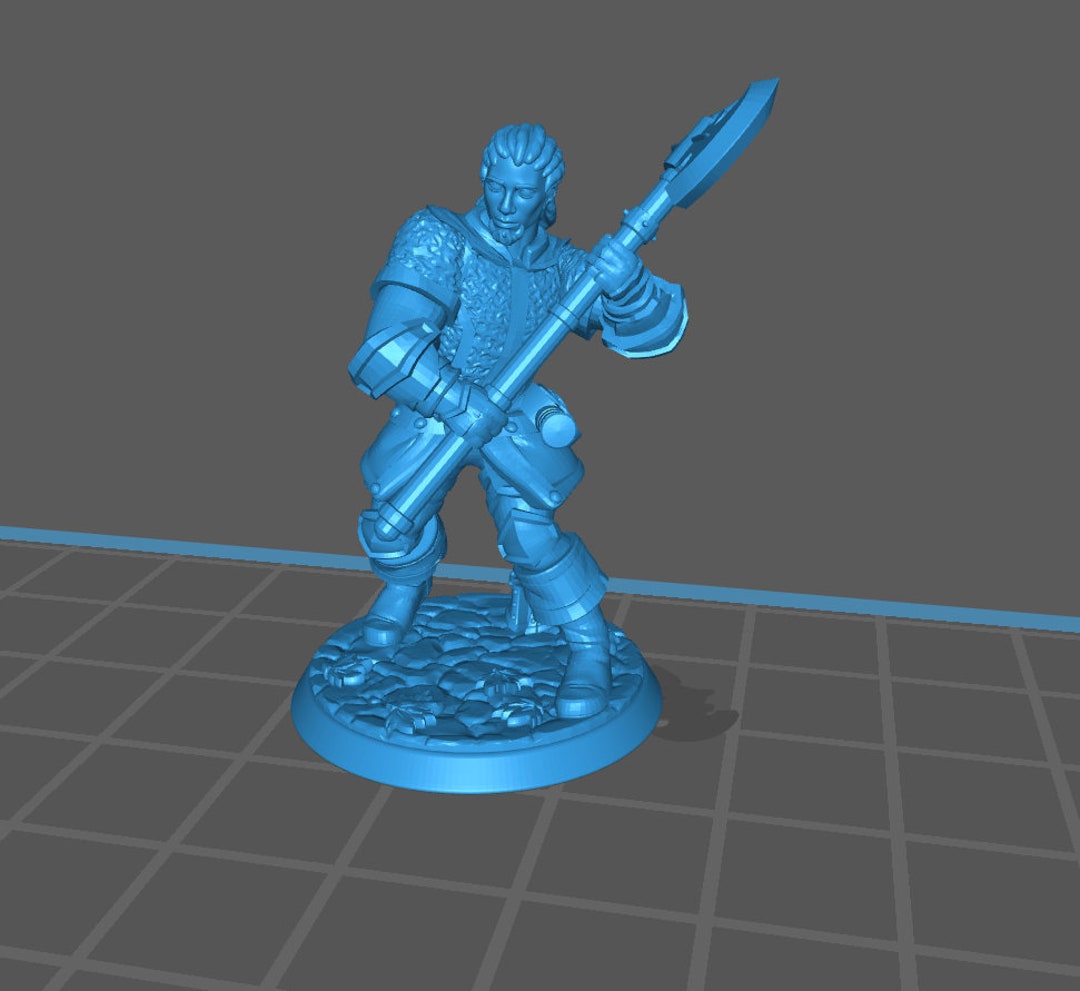 3D Printed Heroforge Characters - Etsy UK