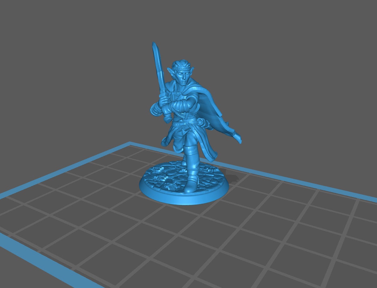 3D Printed Heroforge Characters - Etsy UK