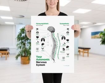 Autonomic Nervous System Poster - Etsy