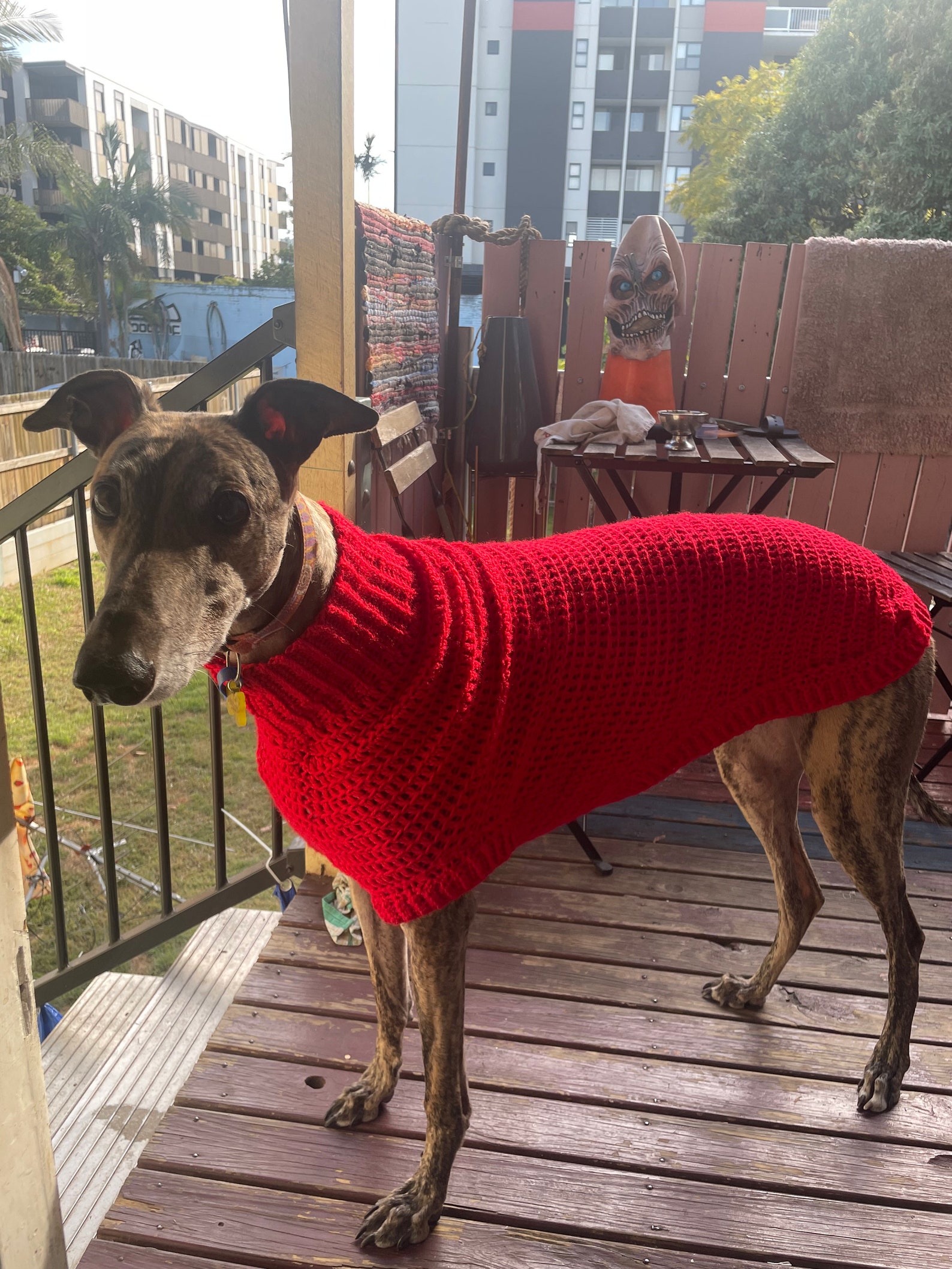 Greyhound Crochet Sweater PATTERN PDF ONLY - Etsy