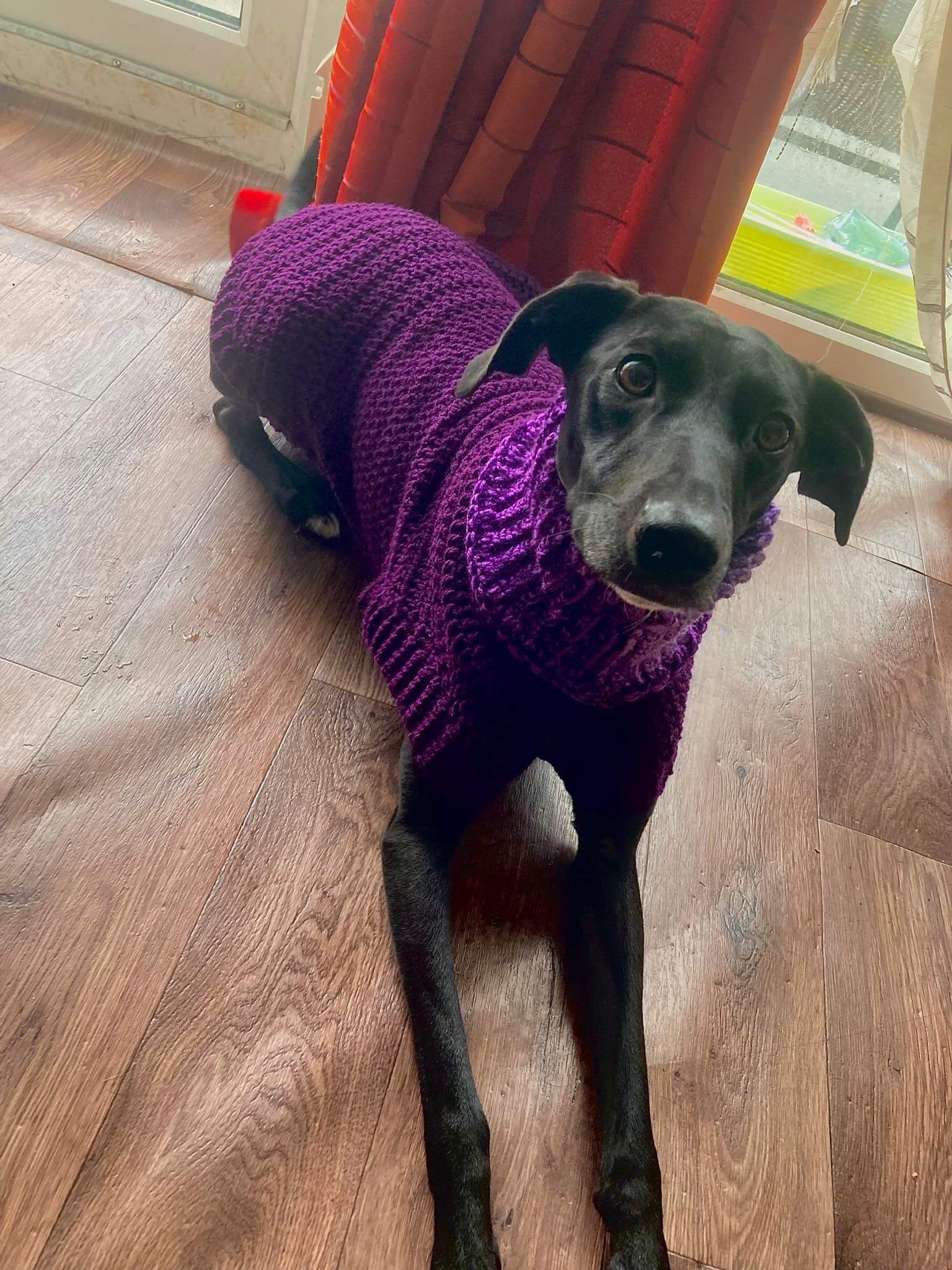 Greyhound Crochet Sweater PATTERN PDF ONLY - Etsy