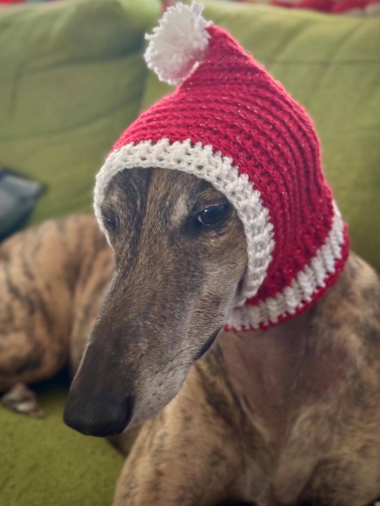 Santa’s Helper Elf Greyhound Snood PATTERN PDF ONLY - Etsy