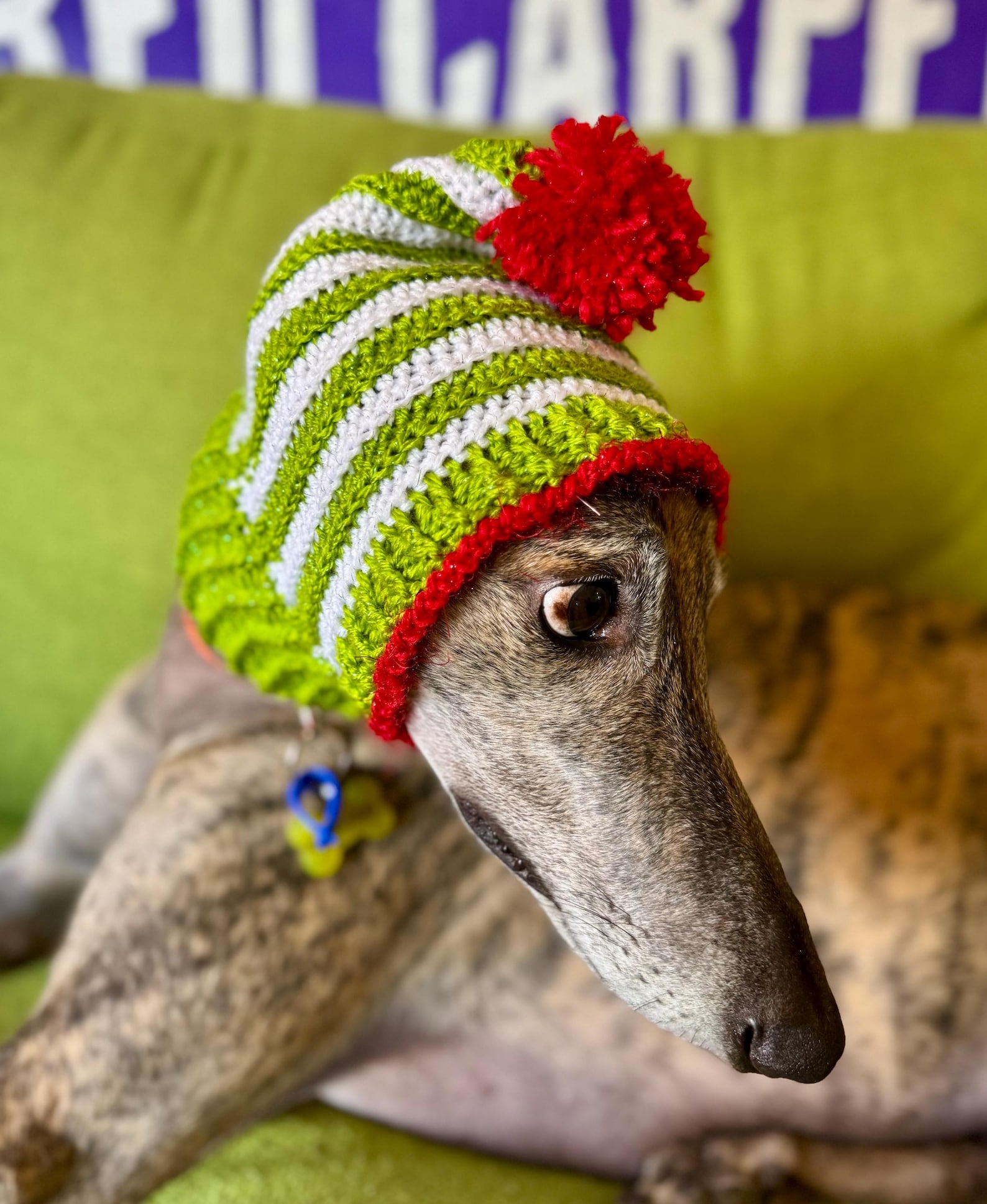 Santa’s Helper Elf Greyhound Snood PATTERN PDF ONLY - Etsy