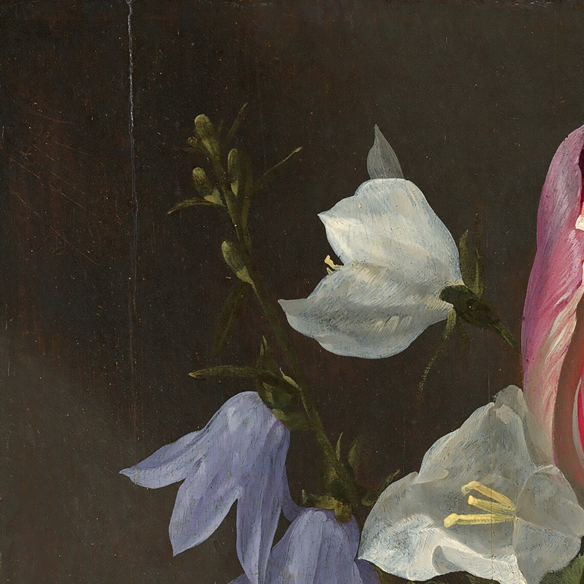 Roses and a Tulip in a Glass Vase by Jan Philips Van Thielen 1650/1660 ...
