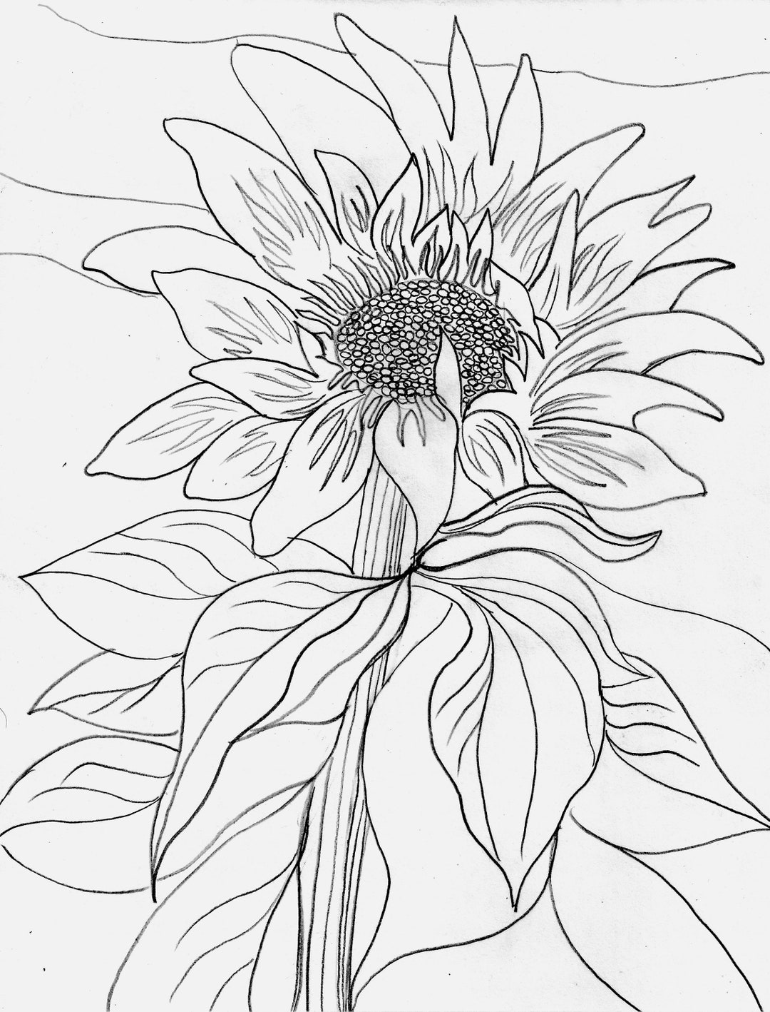 Coloring Pages Printable Download - Etsy