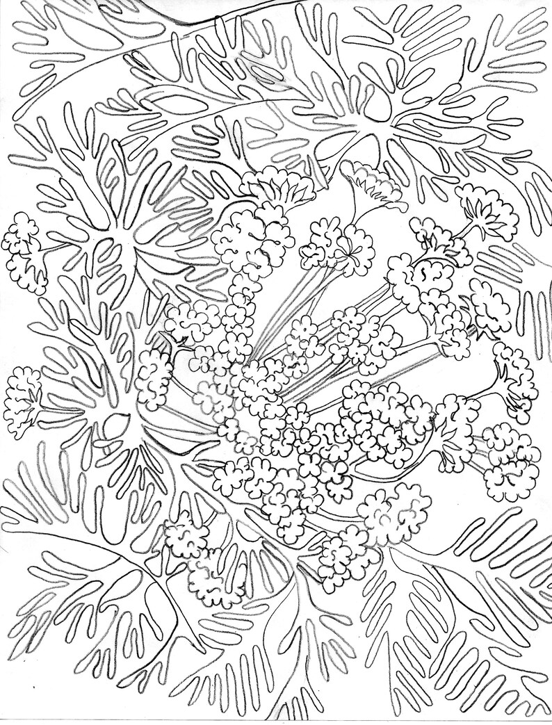 Coloring Pages Printable Download - Etsy