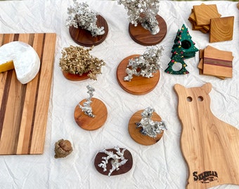 School Teaching Display Anthill of the Red Wood Ant - Etsy