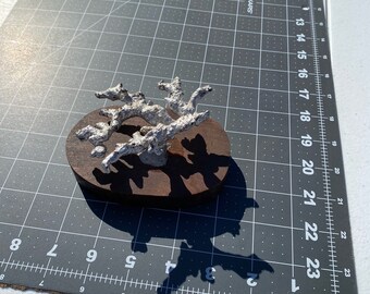 School Teaching Display Anthill of the Red Wood Ant - Etsy