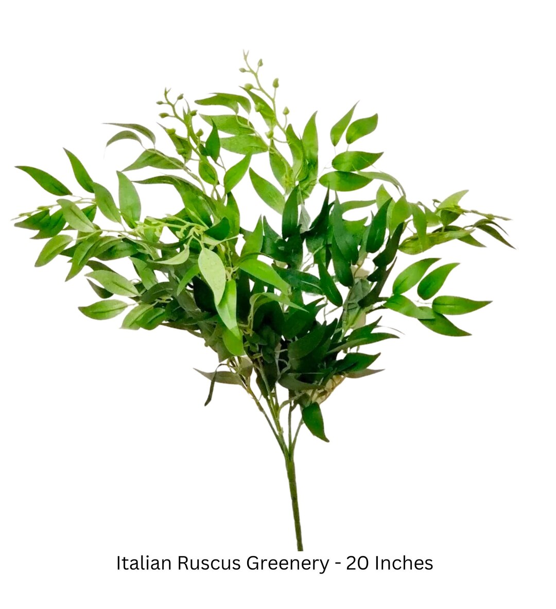 Artificial Ruscus Italian Ruscus Craft Supplies Greenery for Wreath ...