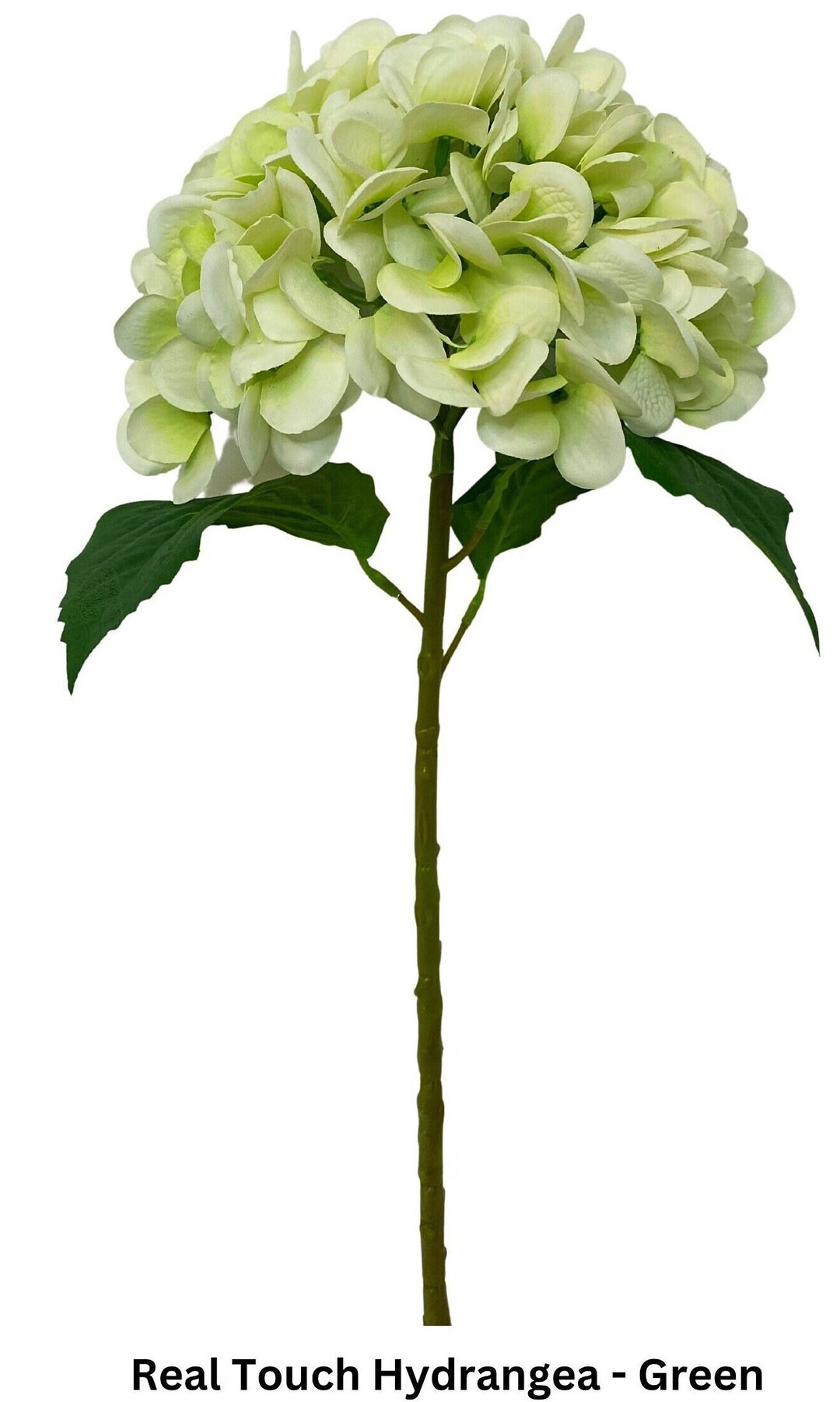 Ruscus Greenery Real Touch Craft Supplies Greenery for Floral - Etsy