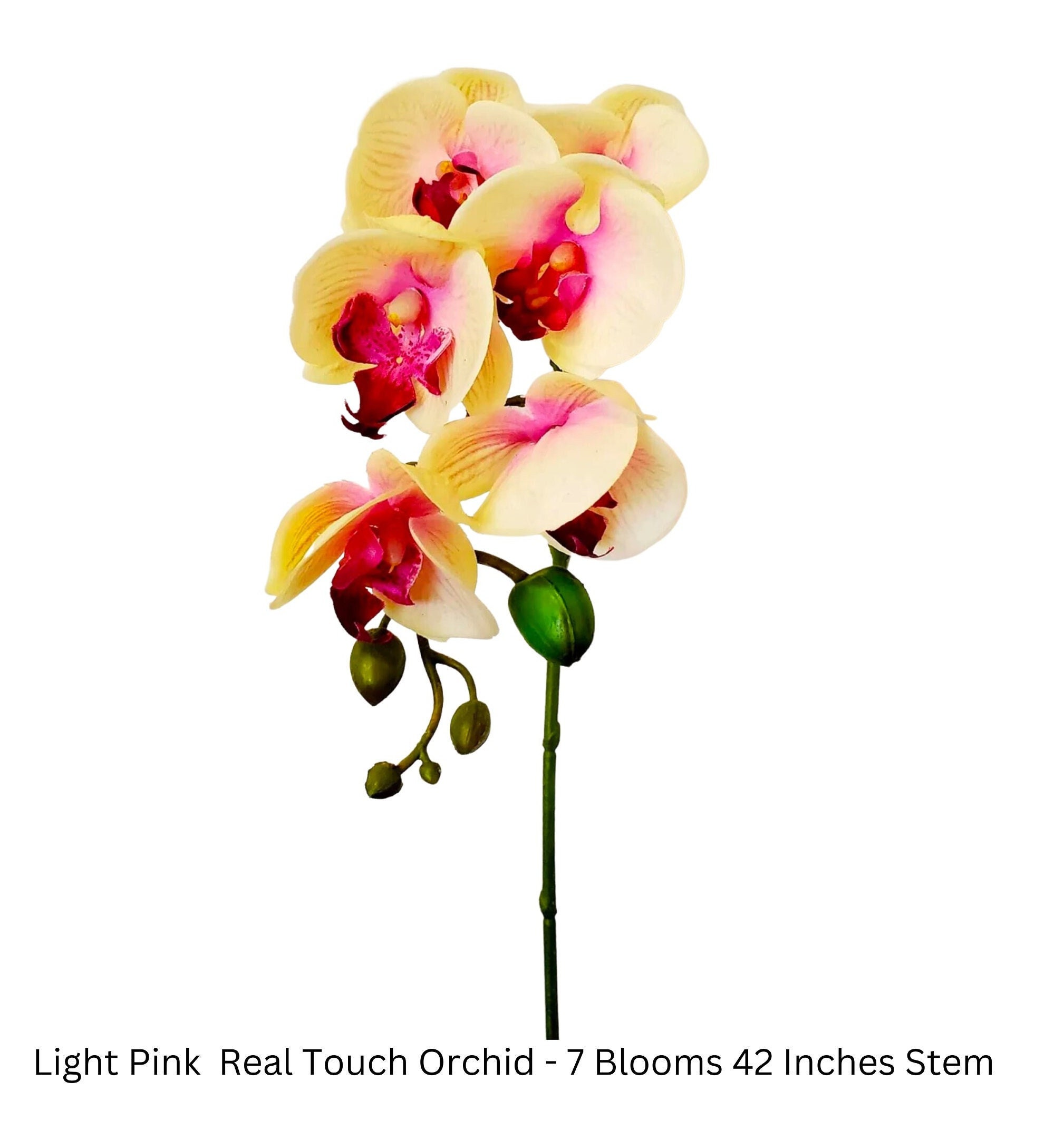 Real Touch Orchid Artificial Flowers for Floral Arrangement Bridal ...