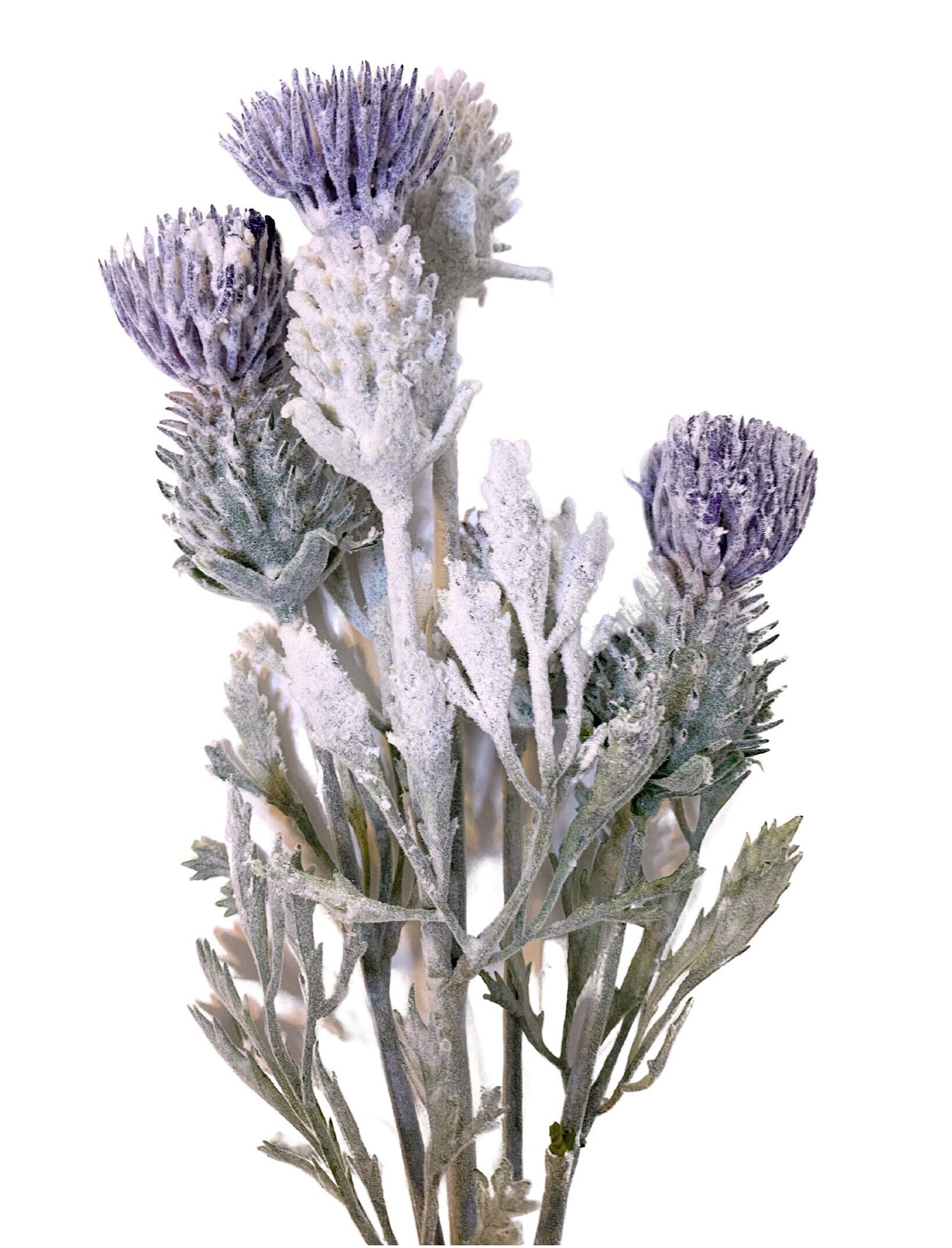 Thistle Wild Flowers Artificial Grasses French Country Artificial ...