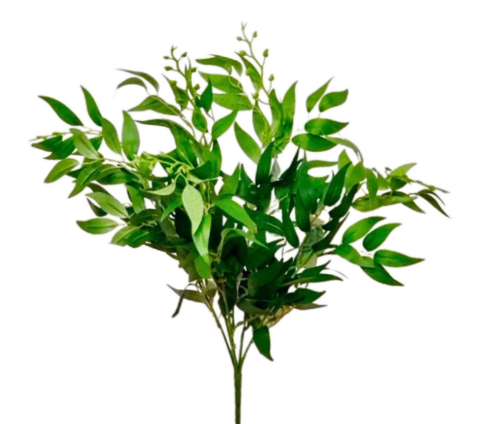 Artificial Ruscus Italian Ruscus Craft Supplies Greenery for Wreath ...