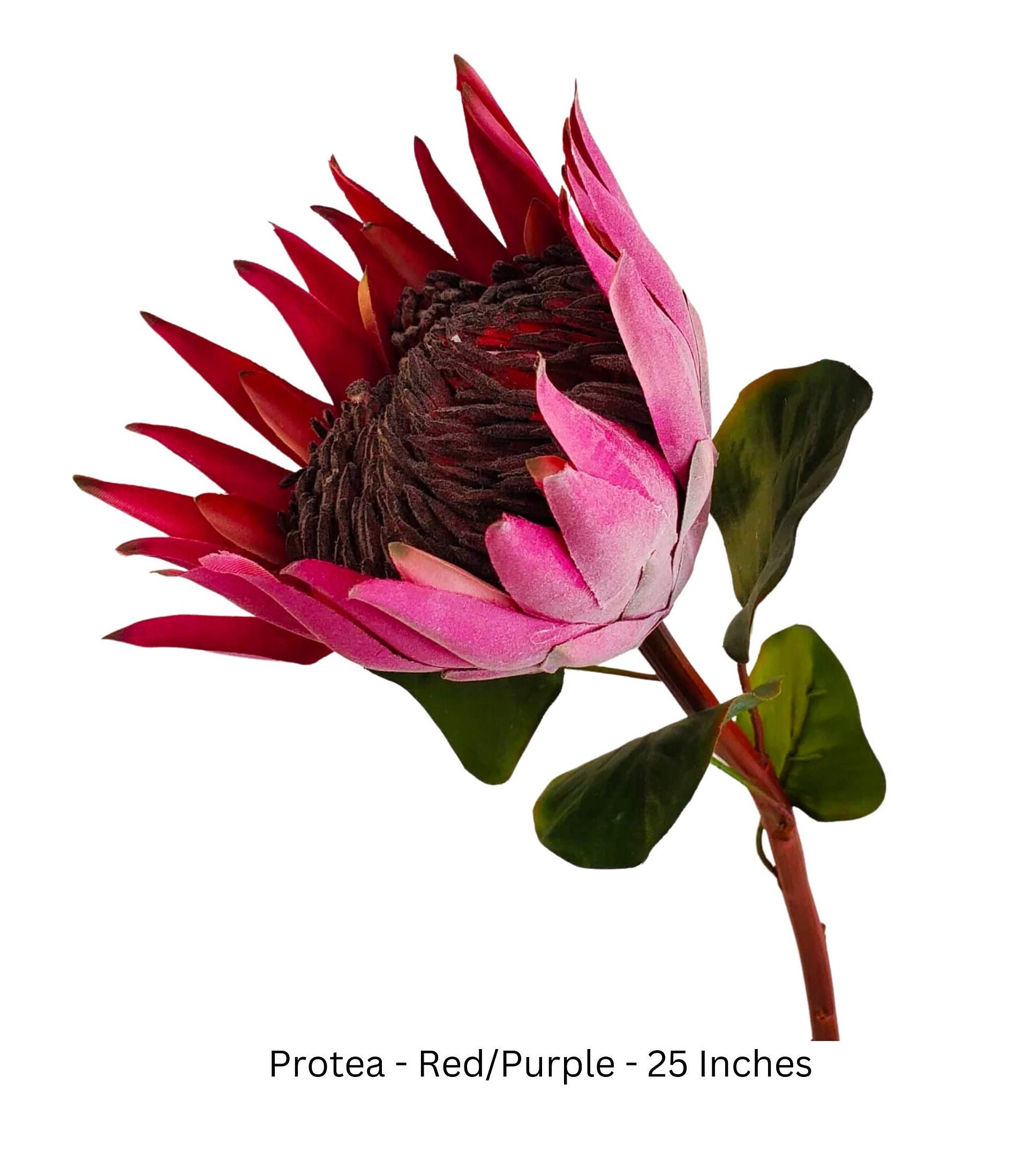 Purple Red Queen Protea Premium Quality Very Realistic Artificial ...