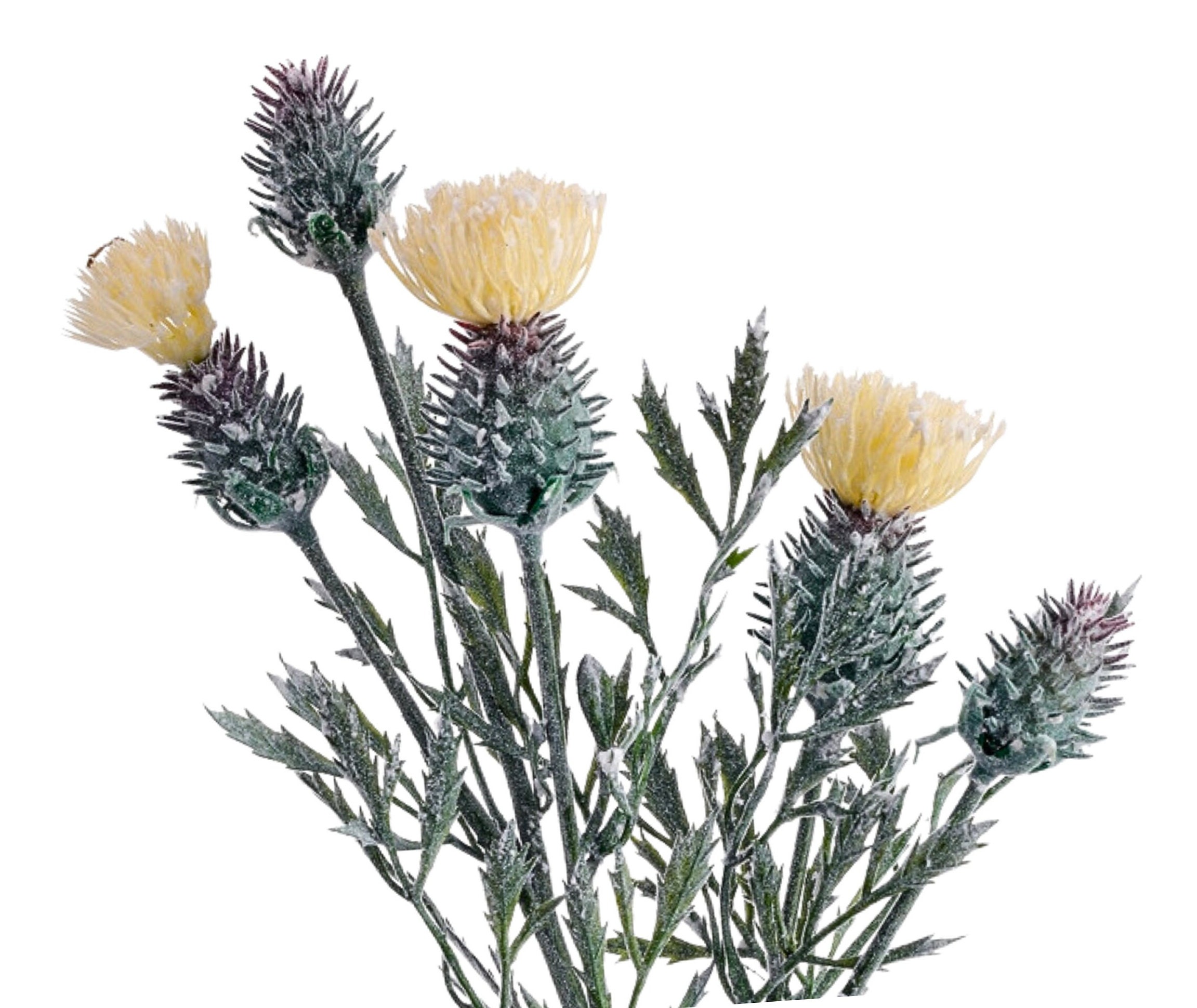 Artificial Thistle Wild Flowers Artificial Grasses French Country ...