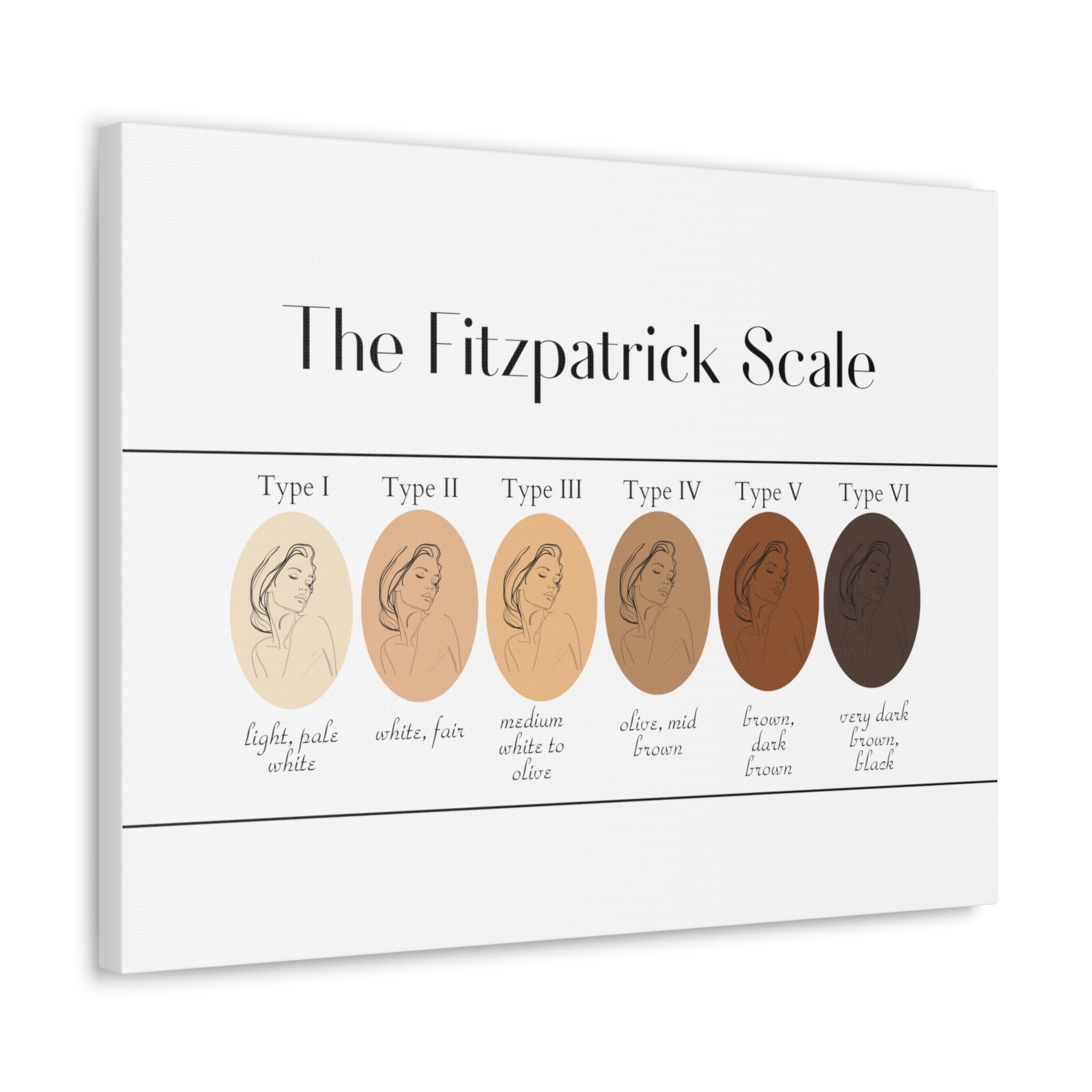Fitzpatrick Scale, Dermatologist Art, Poster for Skin, Canvas Art ...
