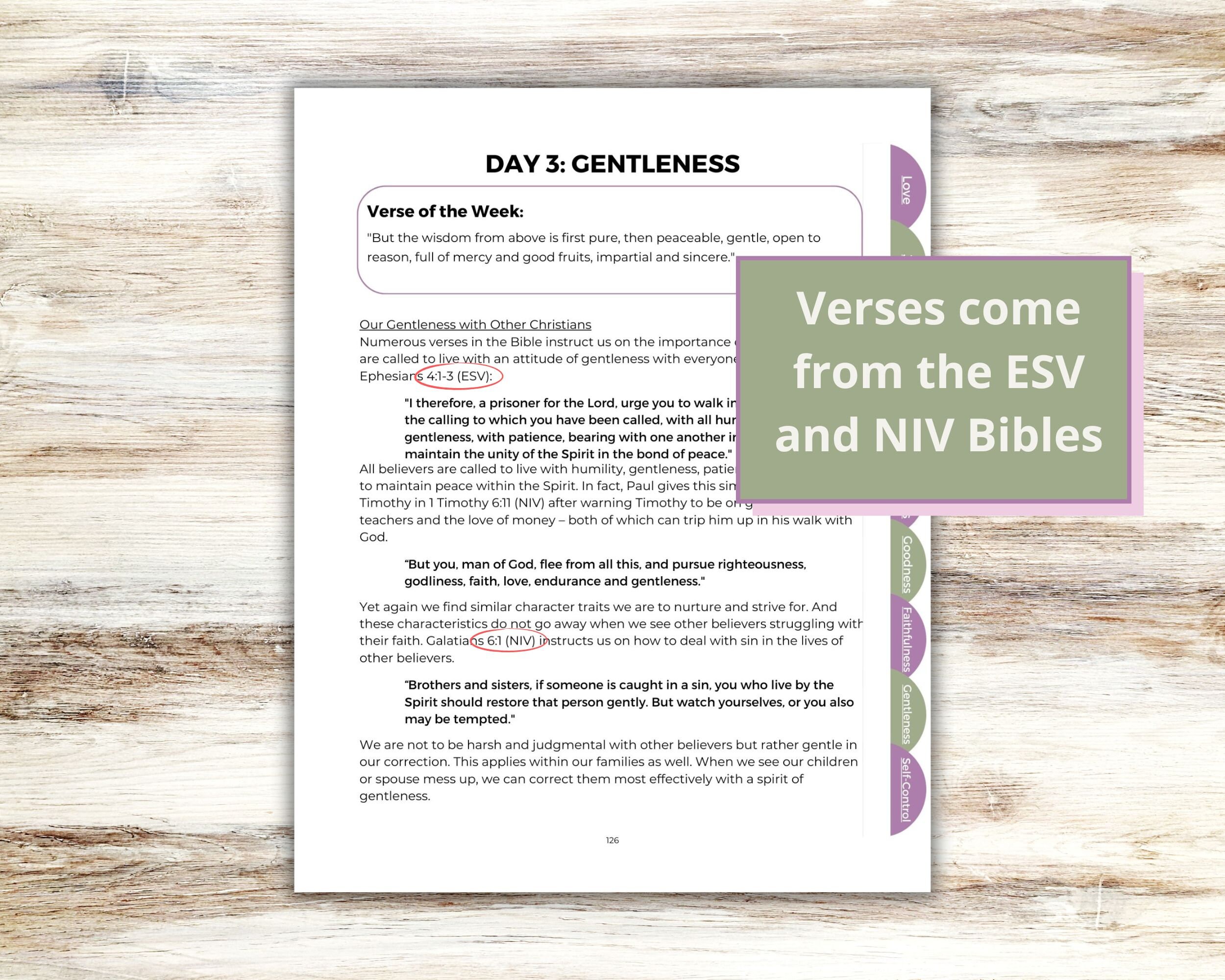 Digital Fruit of the Spirit Devotional Journal for Moms, Personal Bible ...