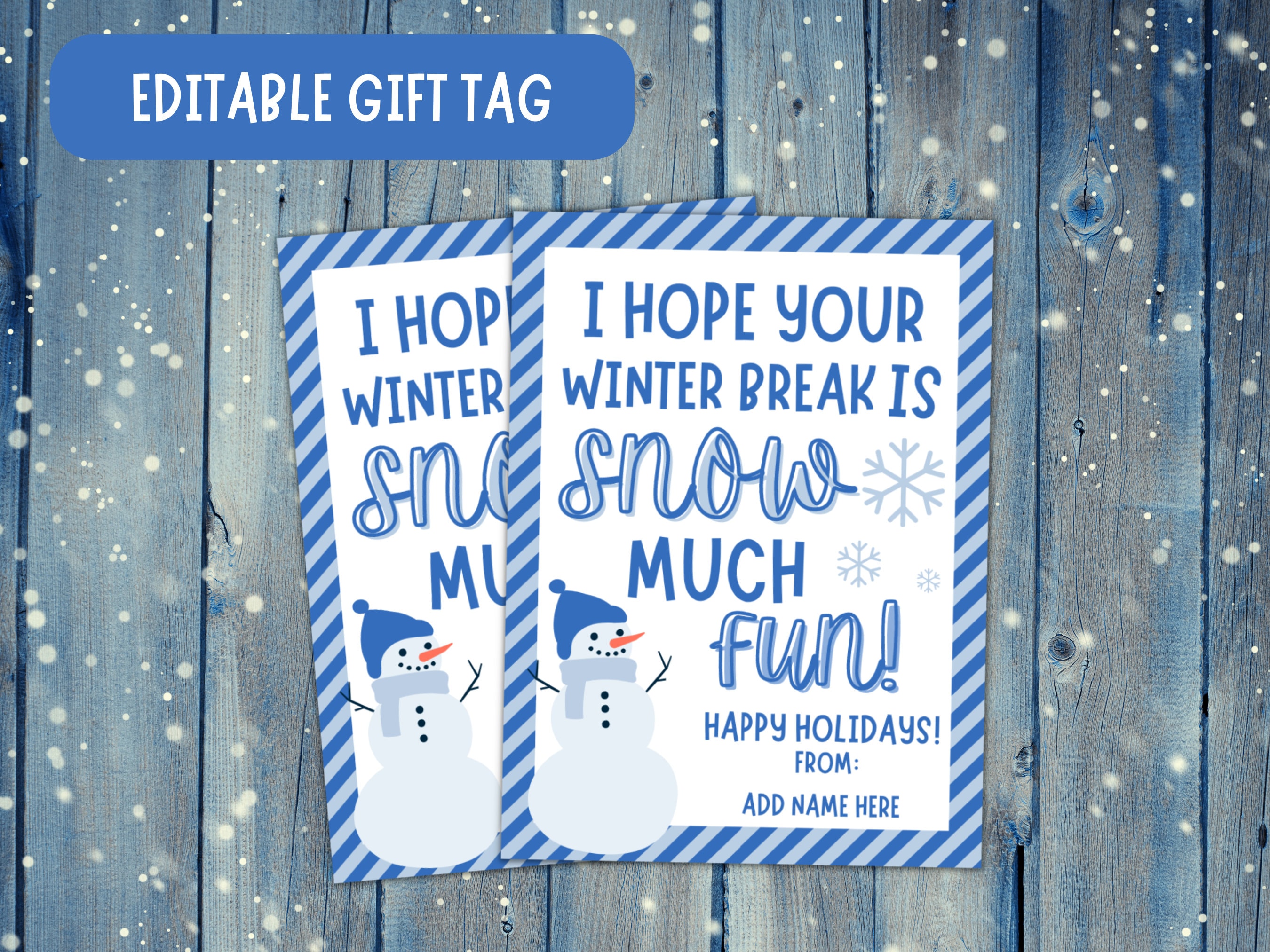 Snow Much Fun Gift Tag, Teacher Gift Tag, Student Class Gift Tag ...