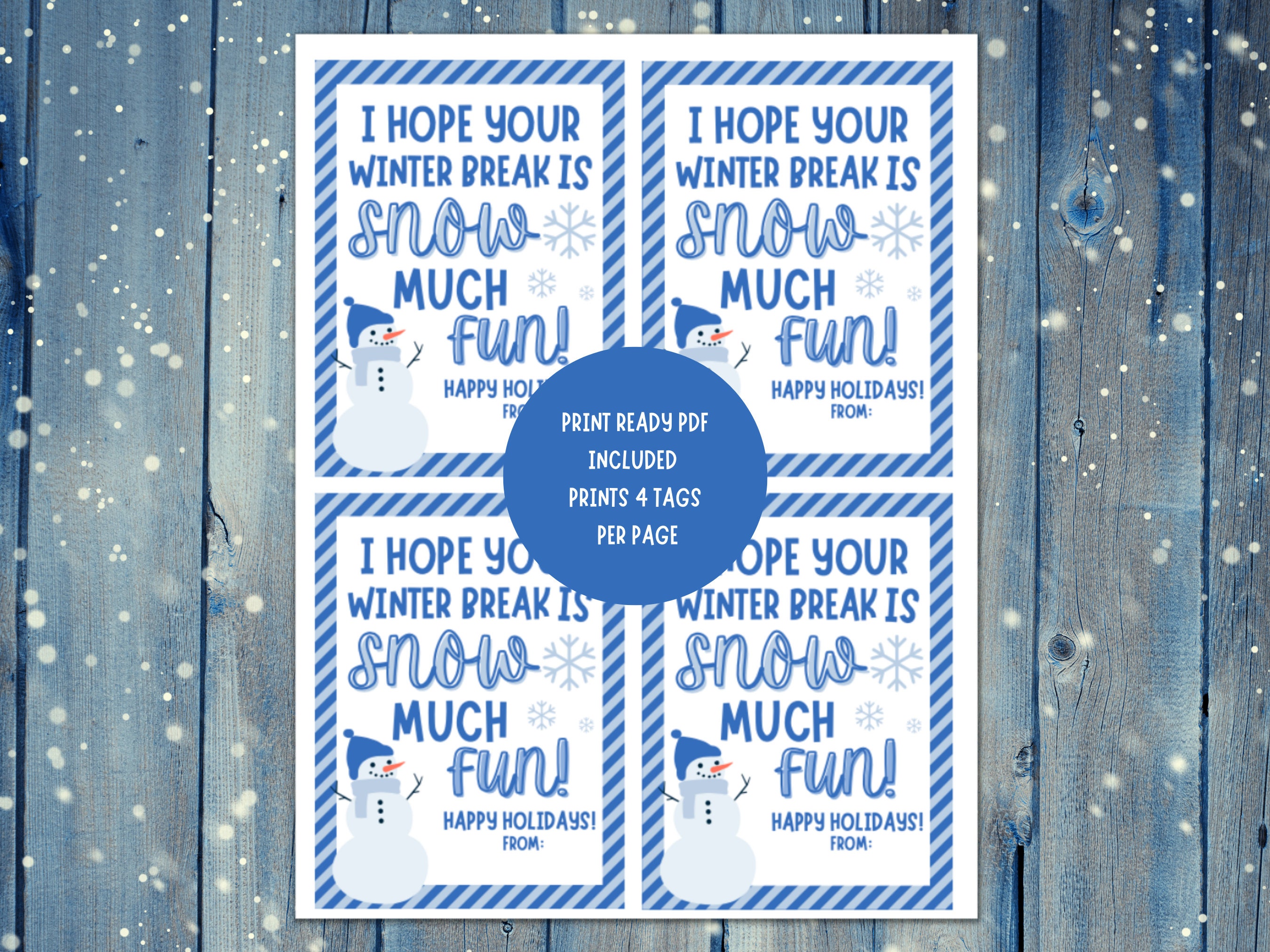 Snow Much Fun Gift Tag, Teacher Gift Tag, Student Class Gift Tag ...