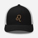 Leo Sign - Embroidered Trucker Cap - Etsy