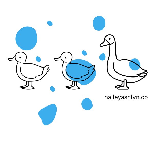 Duck Duck Goose - Etsy