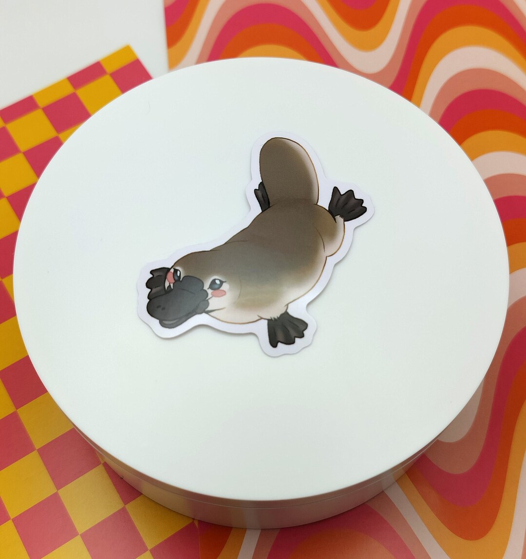 Cute Blushing Platypus Sticker | Gloss Vinyl Sticker - Etsy