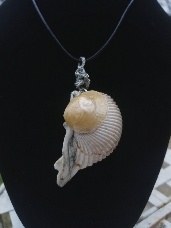 Jingle Shell