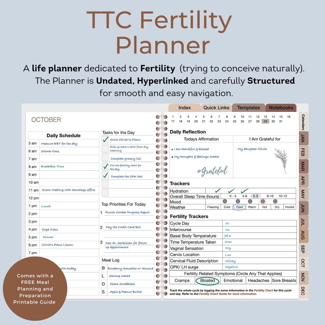 Fertility Life Planner, Digital Planner, Undated Planner, Goodnotes ...
