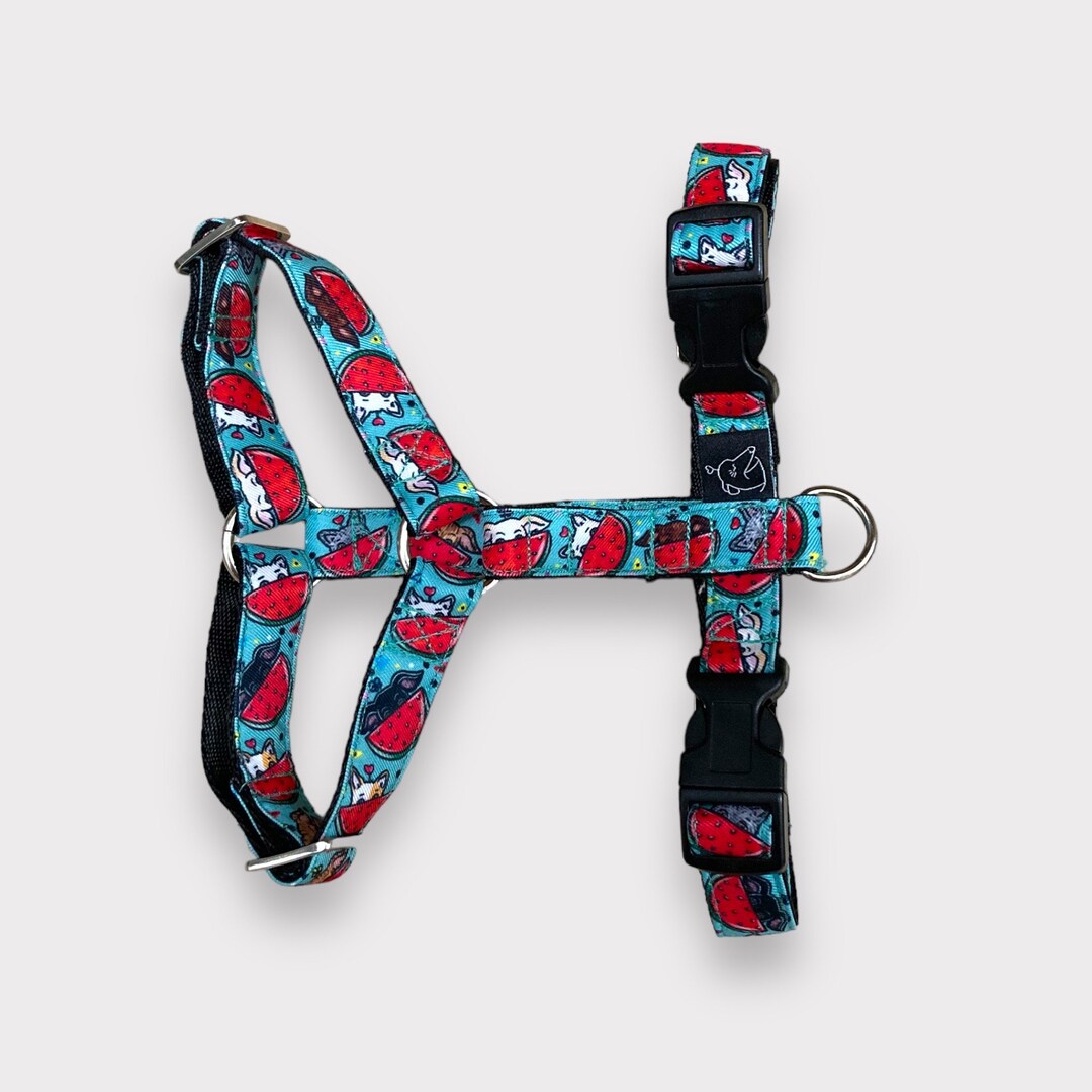 Dog Harness, H-shaped Harness, H Harness for Small or Large Dogs ...