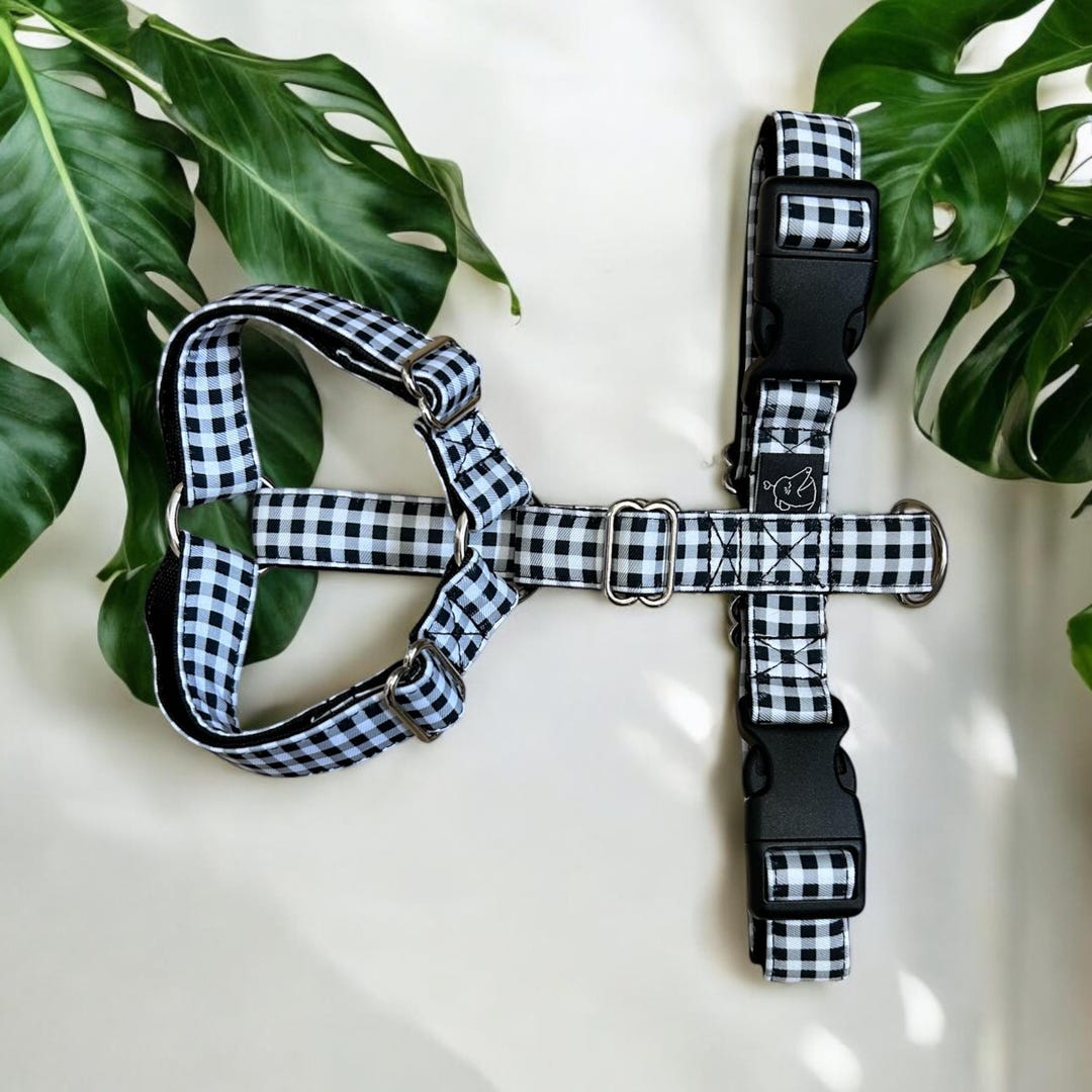 Y Shape Harness for Large and Small Dogs, Zebra Print Harness, Custom ...