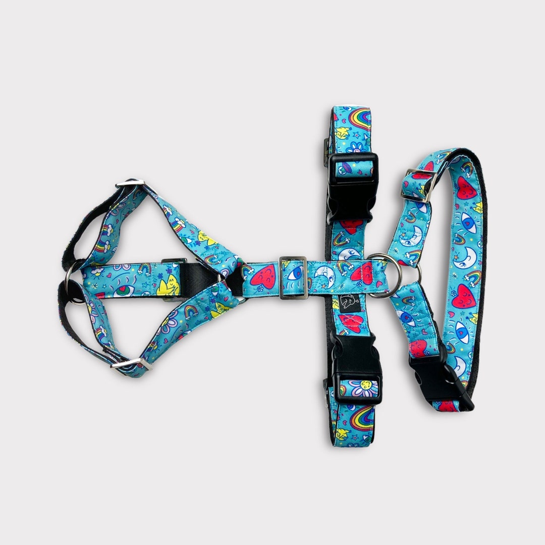 Anti-escape Dog Harness, Greyhound Safety Harness, 3 Point Harness for ...