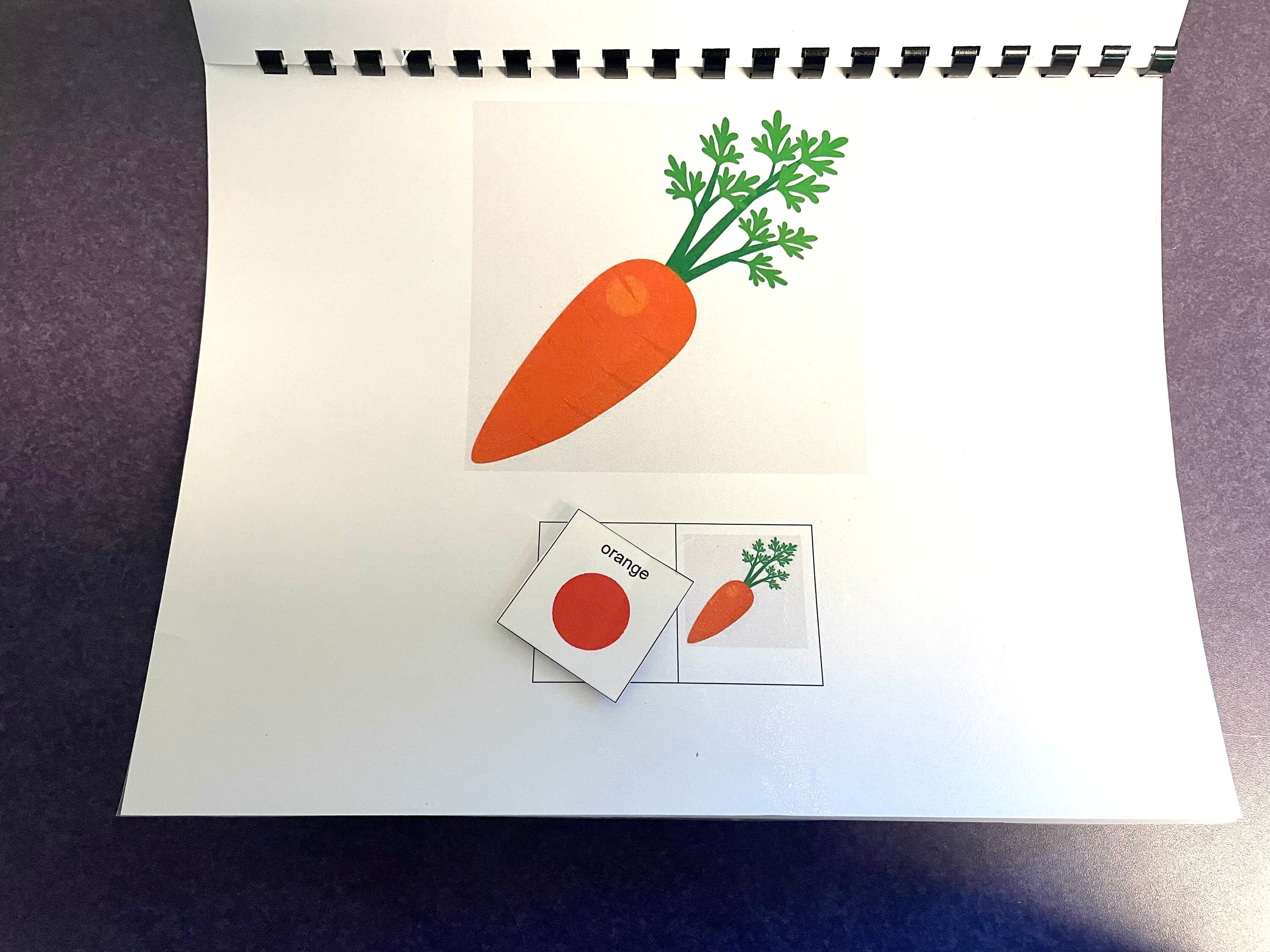 Beginner Interactive Color Book- Great for Early Learners, Students ...