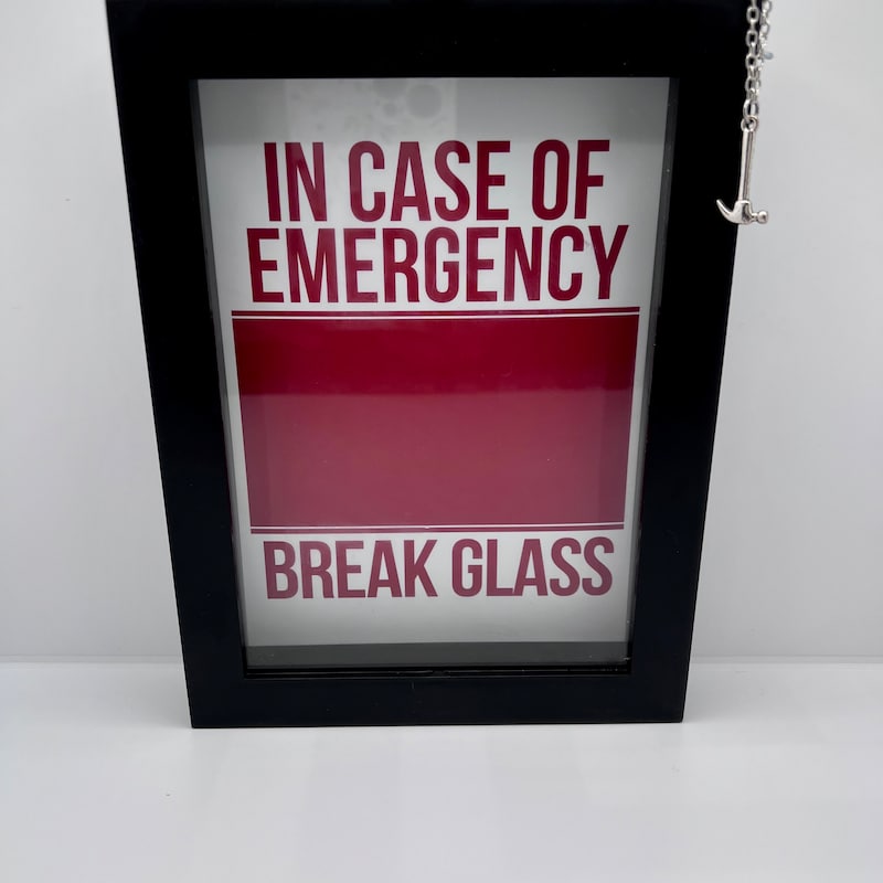 In Case of Emergency Break Glass - Etsy