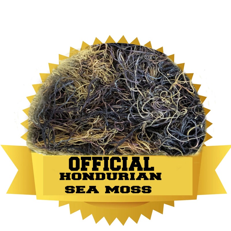 Wild Sea Moss - Etsy