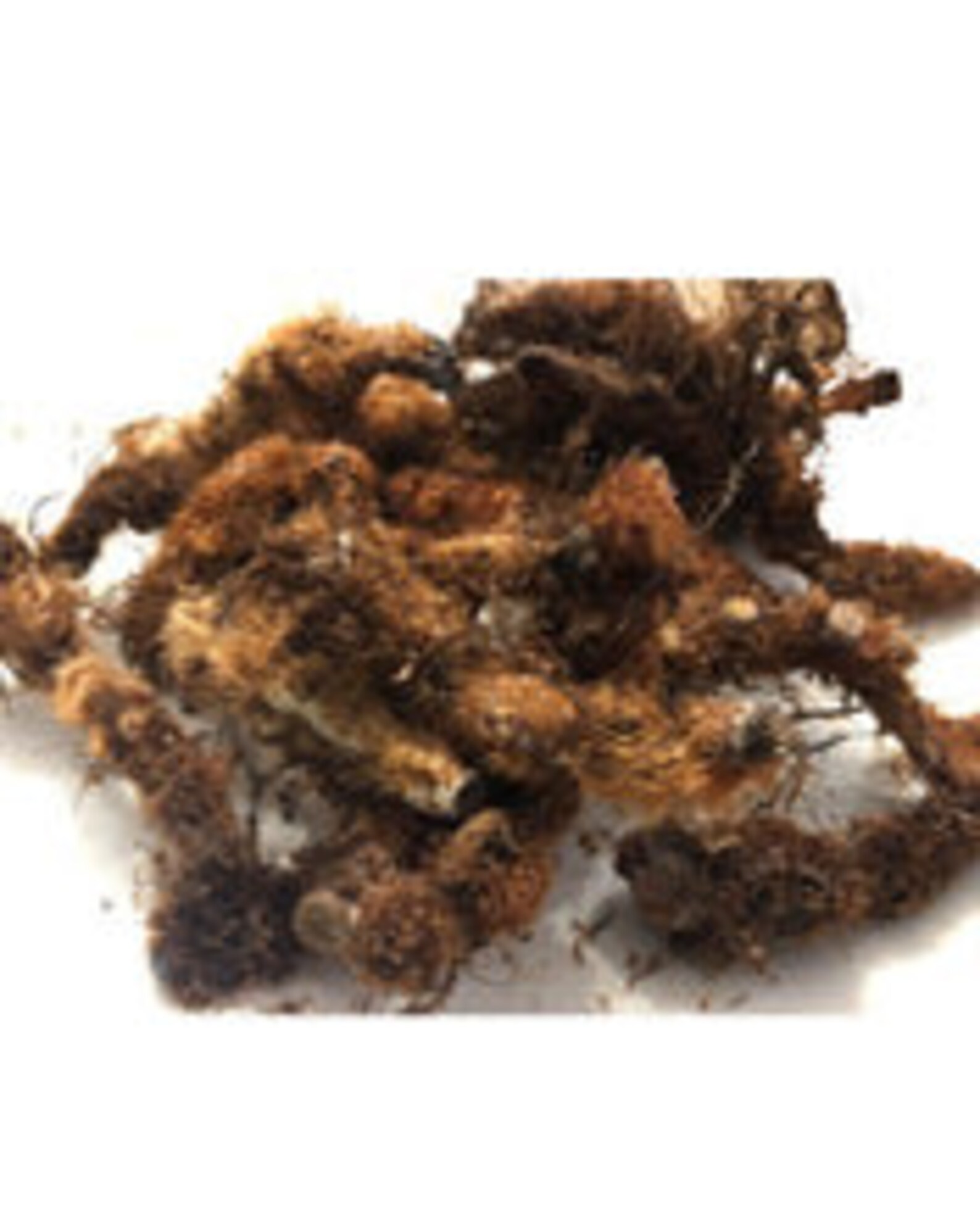 KALAWALLA ROOT - Etsy