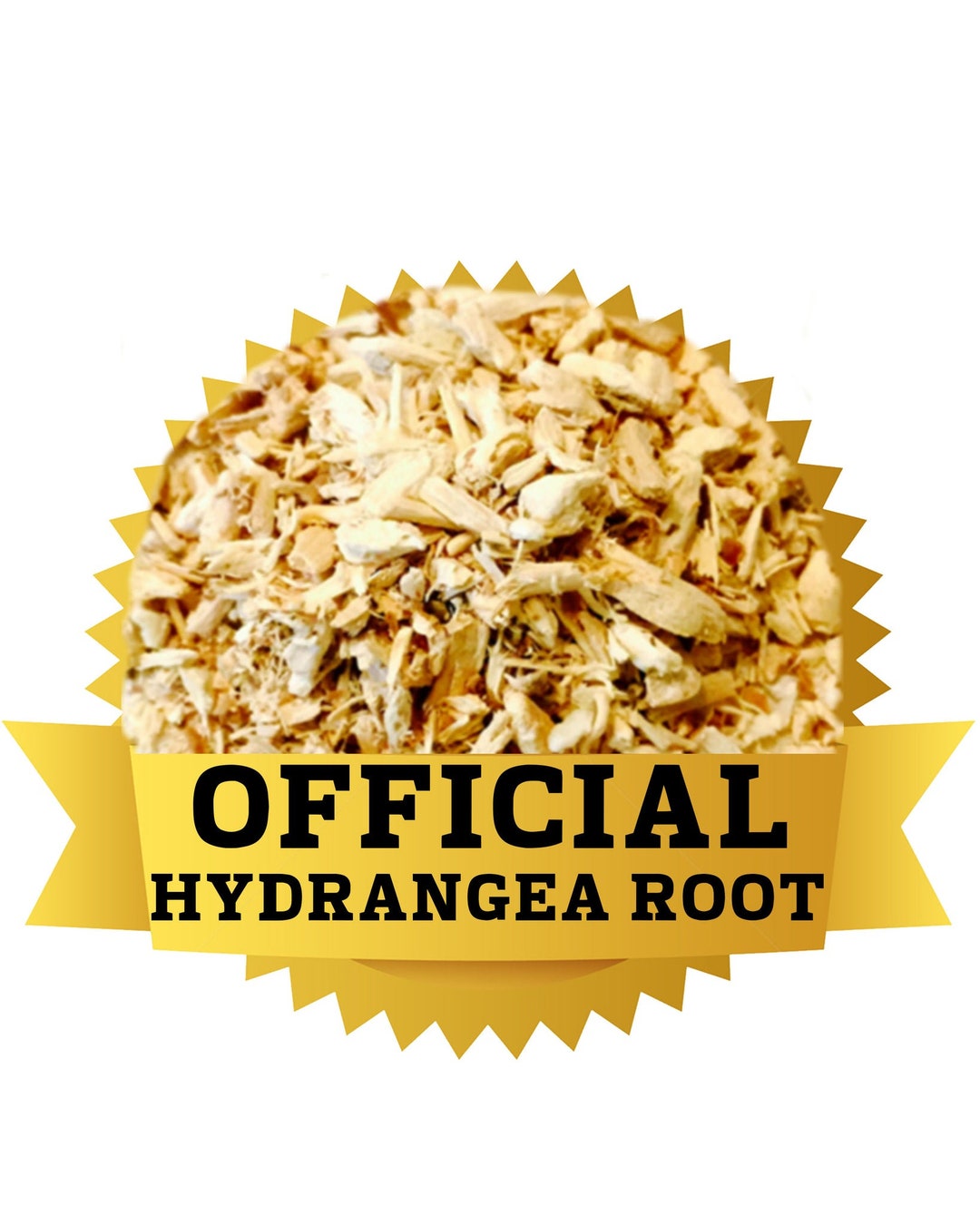 HYDRANGEA CAPSULES - Etsy