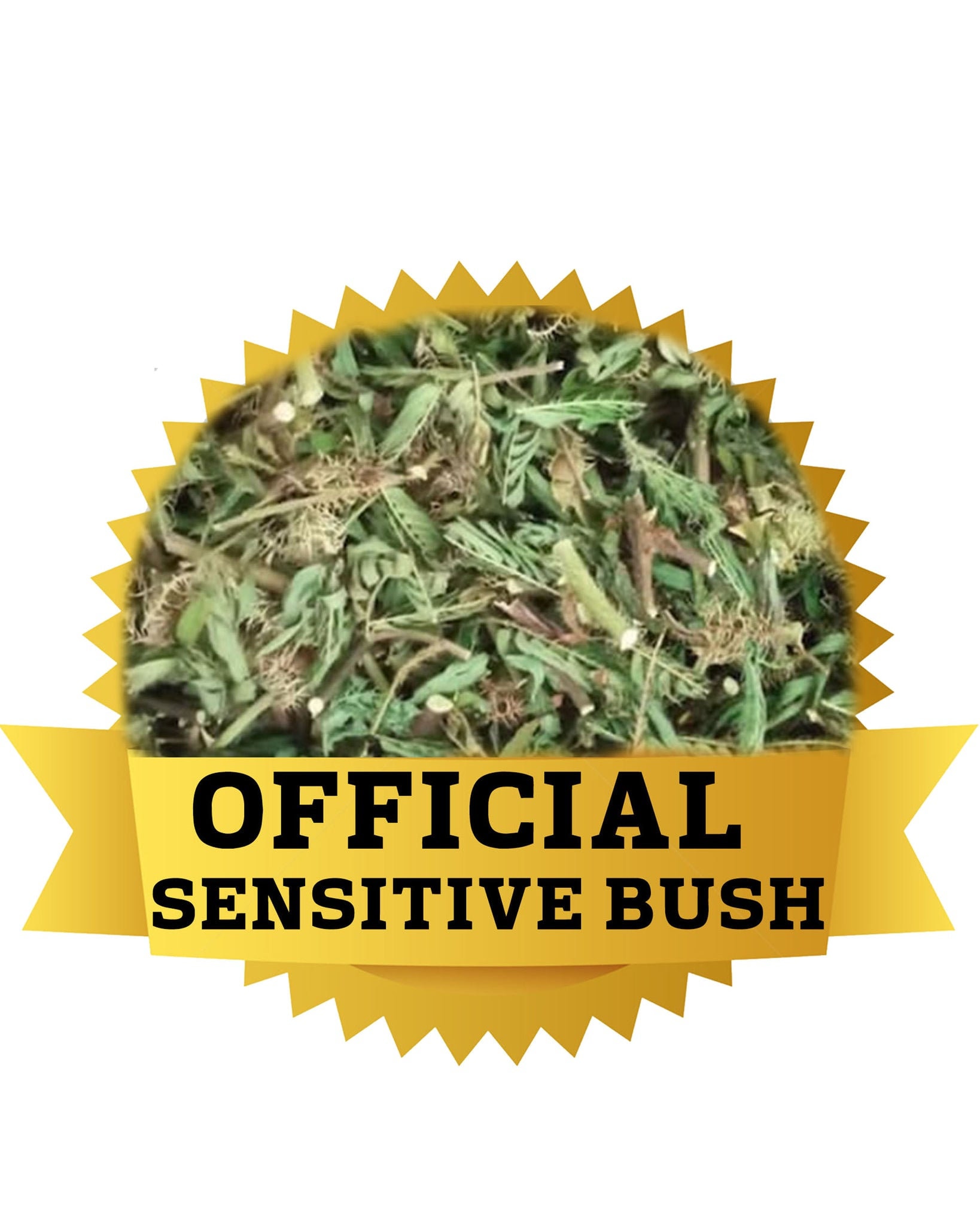SENSITIVE BUSH CAPSULES - Etsy