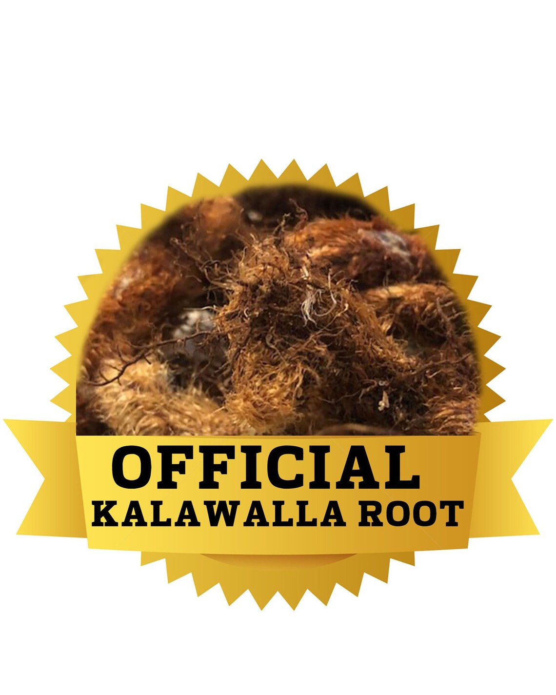 OFFICIAL KALAWALLA CAPSULES - Etsy