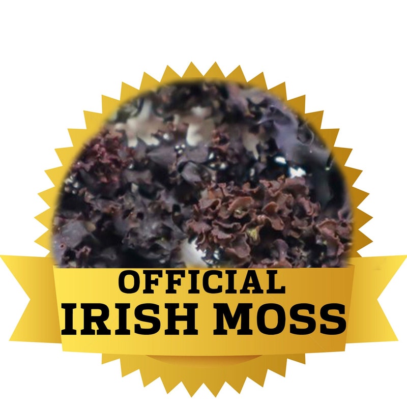 Wild Crafted Irish Moss - Etsy