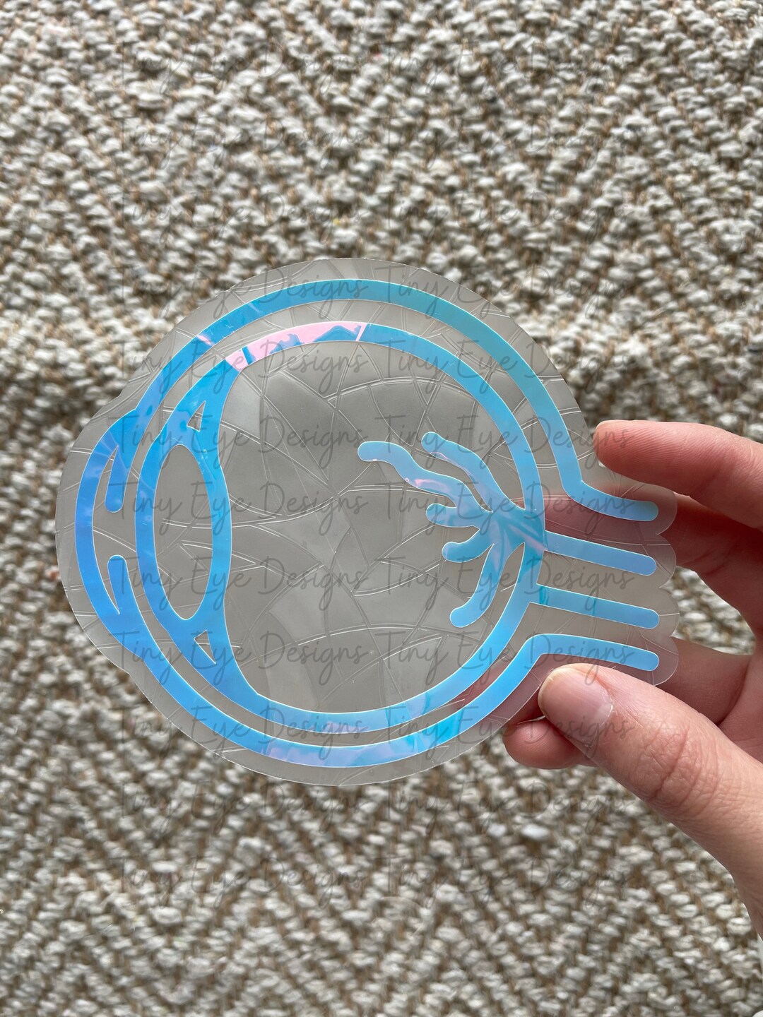 Anatomical Eye SUNCATCHER Decal Window Cling Eyeball Eyes Reusable ...