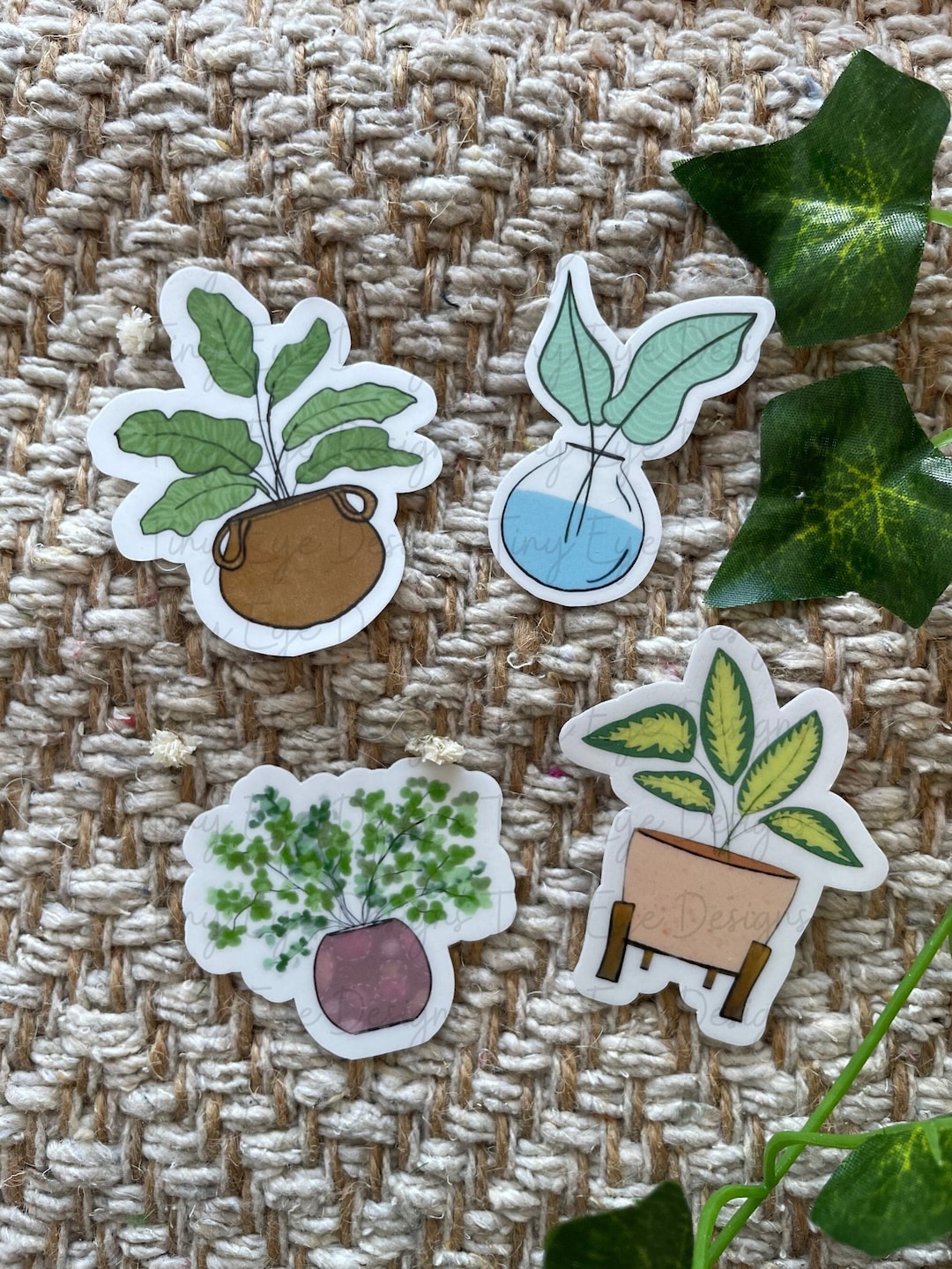 Houseplant Bundle Pack Decal Sticker Optometry Gift Ideas Plant Lady ...