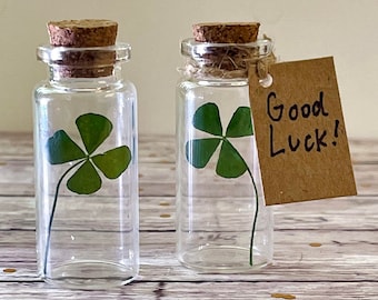 Real Four Leaf Clover in a Glass Jar - Etsy